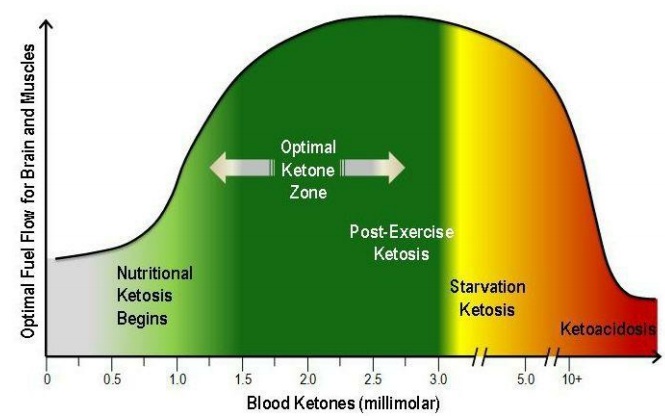 What is Ketosis Diet: Fast Way to Reduce weight , Tips, Symptoms ...