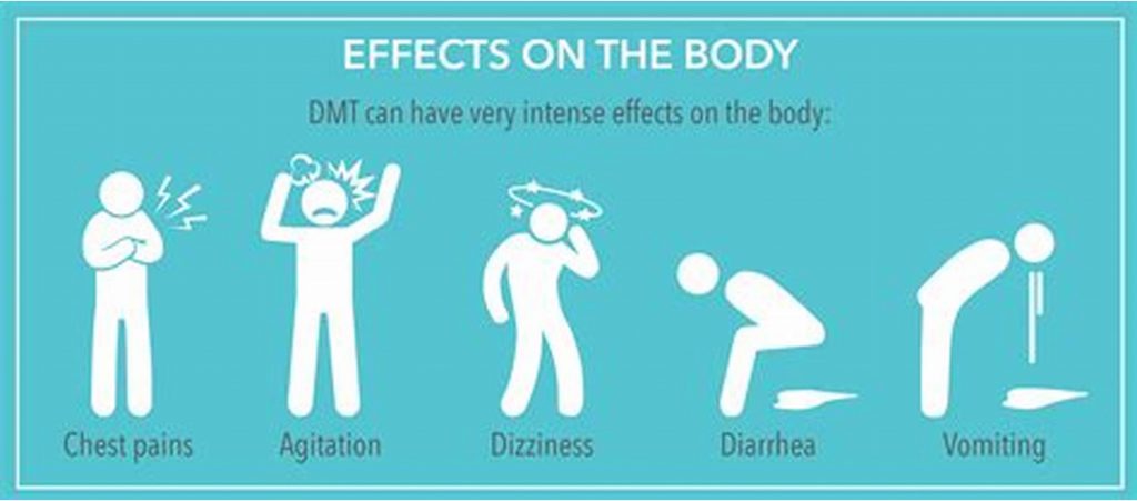 What is DMT Drug:Fact about DMT the Spirit Molecule, DMT trip & DMT Art.