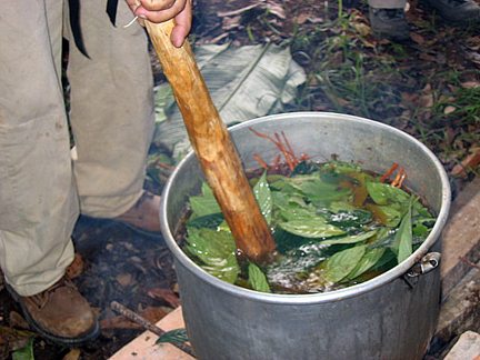 Ayahuasca: Effects and Experience of Ayahuasca Ceremony - Bee Healthy