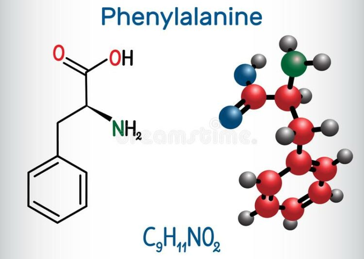 What is Phenylalanine? l-phenylalanine Foods Effectiveness - Bee Healthy